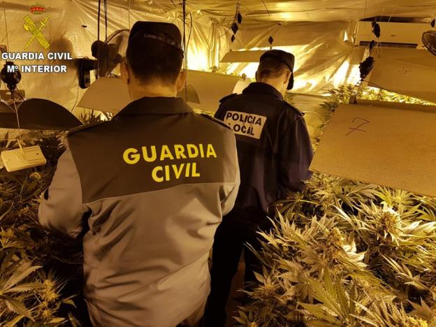 OTRO INVERNADERO DE DROGA EN CHIVA | Las Provincias